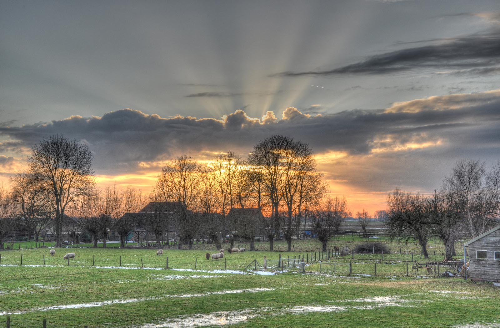 Zalk en Omgeving - Restaurant de Oase in Zalk